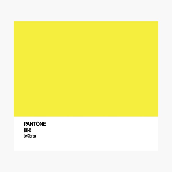 "Pantone - Le citron" Photographic Print by HouseofBalloon | Redbubble
