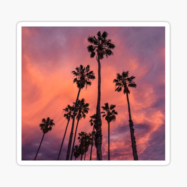 "Pink Sky" Sticker for Sale by bakryYy | Redbubble