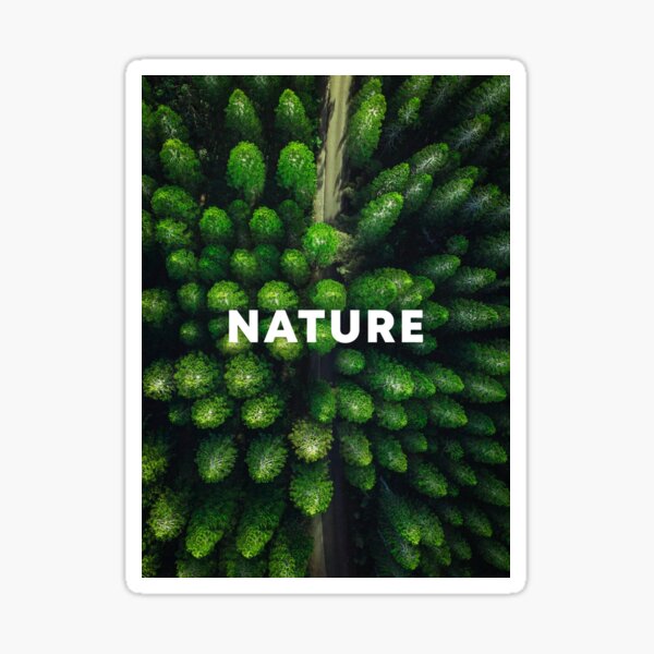 "Nature forest design" Sticker for Sale by Aimrah | Redbubble