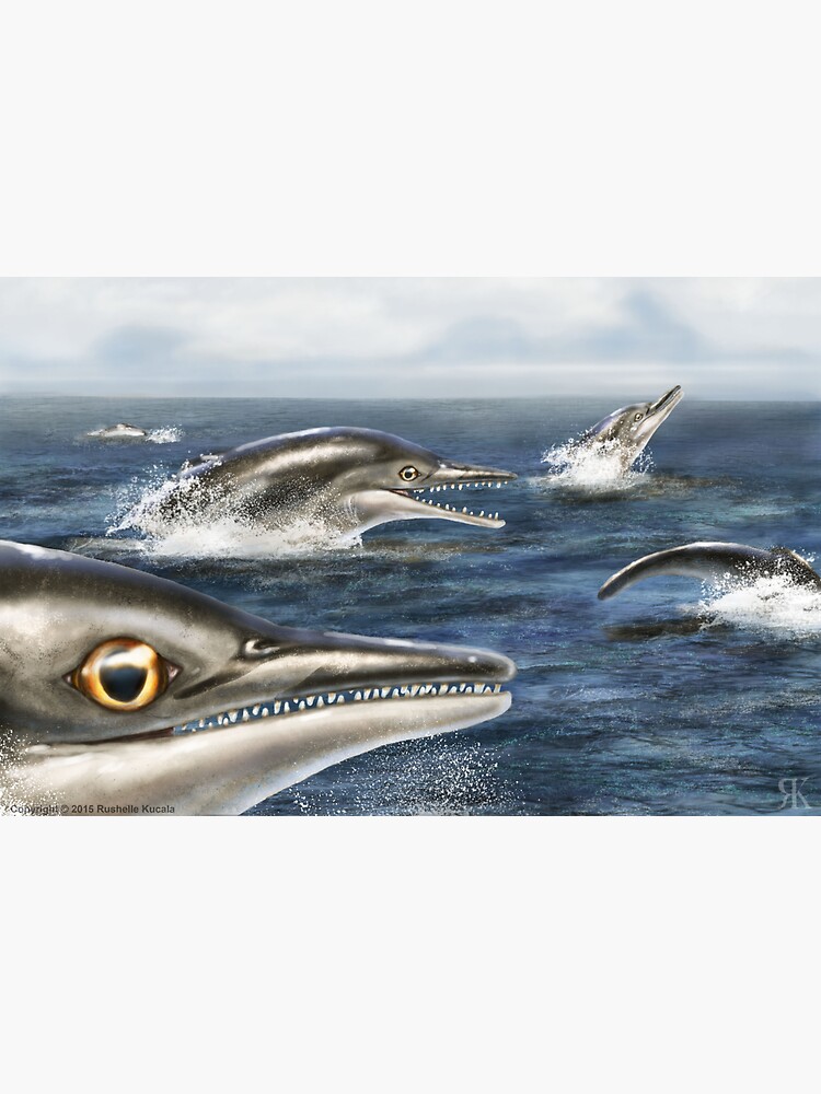 "Barracudasaurus" Sticker for Sale by Thedragonofdoom | Redbubble