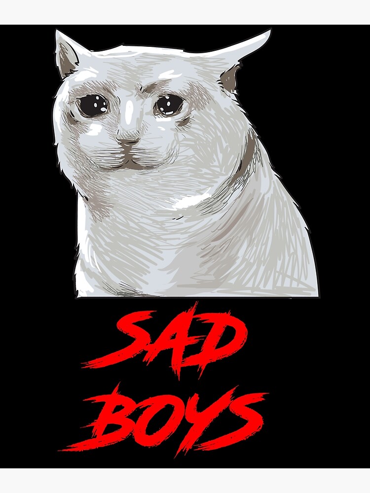 "Sad Boys Crying Cat Meme" Photographic Print by HappyMonkeyTees ...