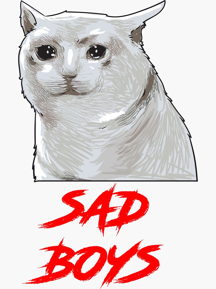 "Sad Boys Crying Cat Meme" Sticker for Sale by HappyMonkeyTees | Redbubble