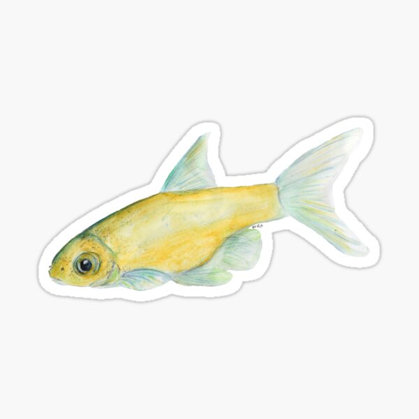 "Uji Goldfish" Sticker by inkmaid | Redbubble
