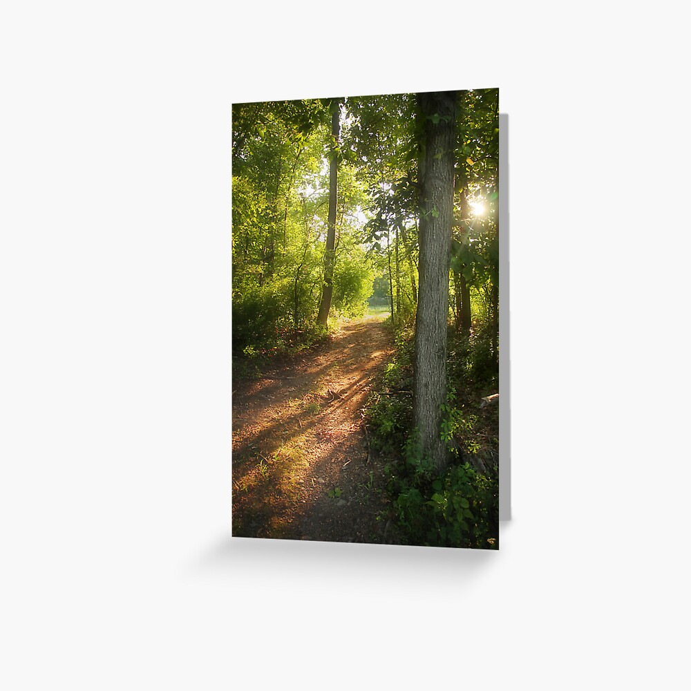 "Pathway" Greeting Card for Sale by dlamb | Redbubble