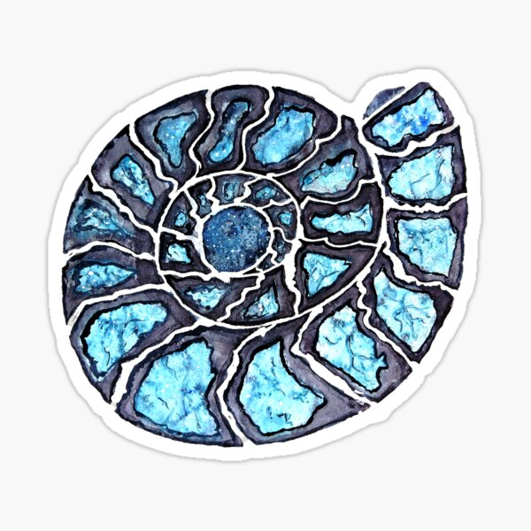 Ammonite Stickers | Redbubble