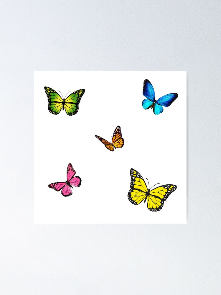 "Butterflies| Rainbow| VSCO" Poster by -wiseowl- | Redbubble