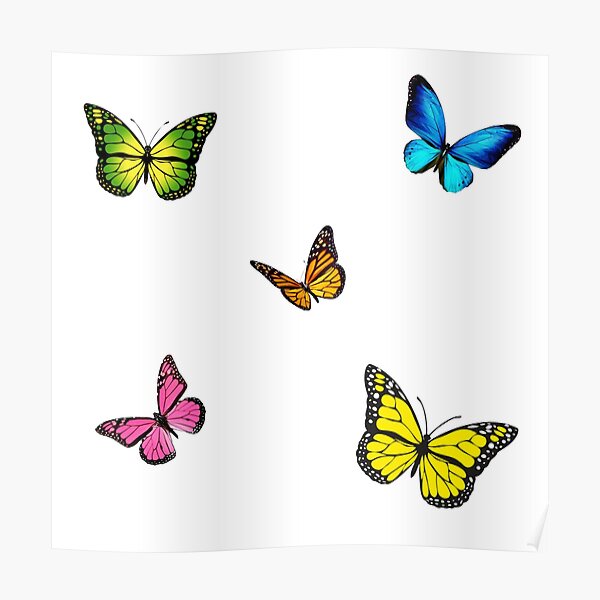 "Butterflies| Rainbow| VSCO" Poster by -wiseowl- | Redbubble