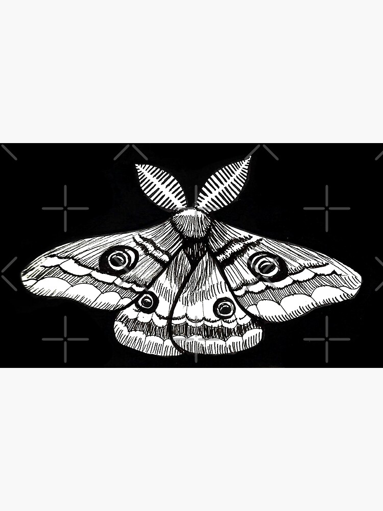 "Emperor Moth Illustration | Ink Drawing | Gouache " Sticker for Sale ...