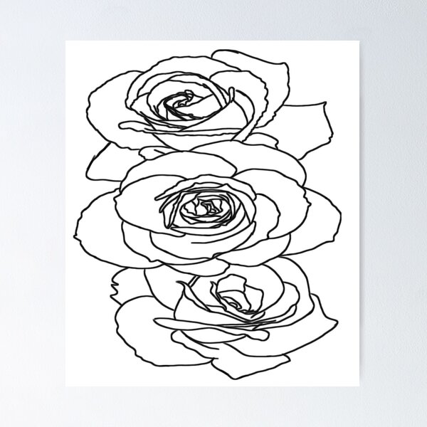 Contornos De Dibujos De Tulipanes Conjunto De Vector Dibujado A Mano