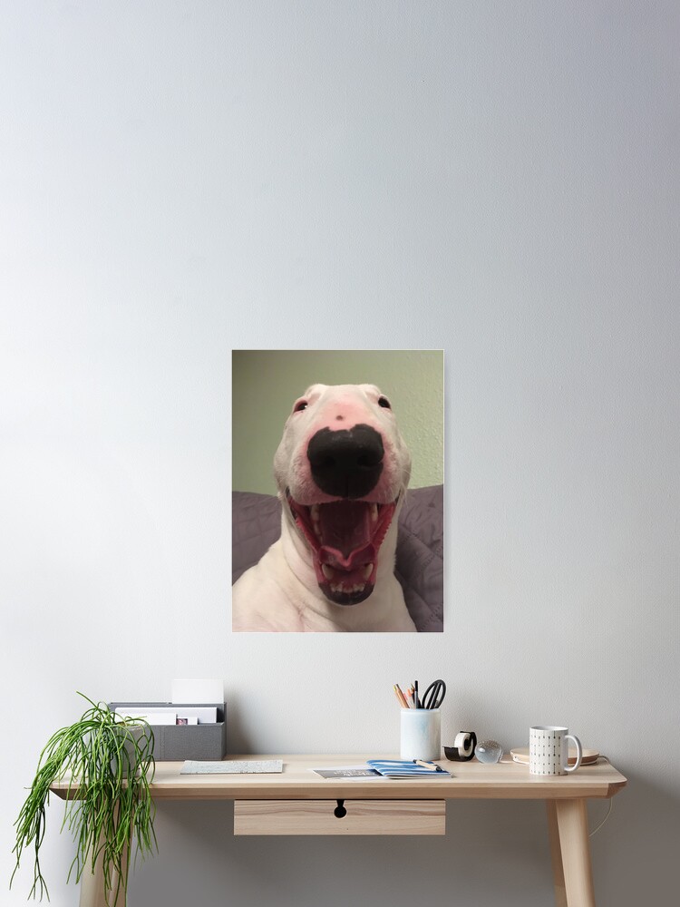 "Walter dog meme - HAPPY WALTER SMILE WALTER" Poster for Sale by ...