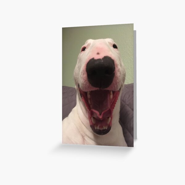 Smile Walter Greeting Cards | Redbubble