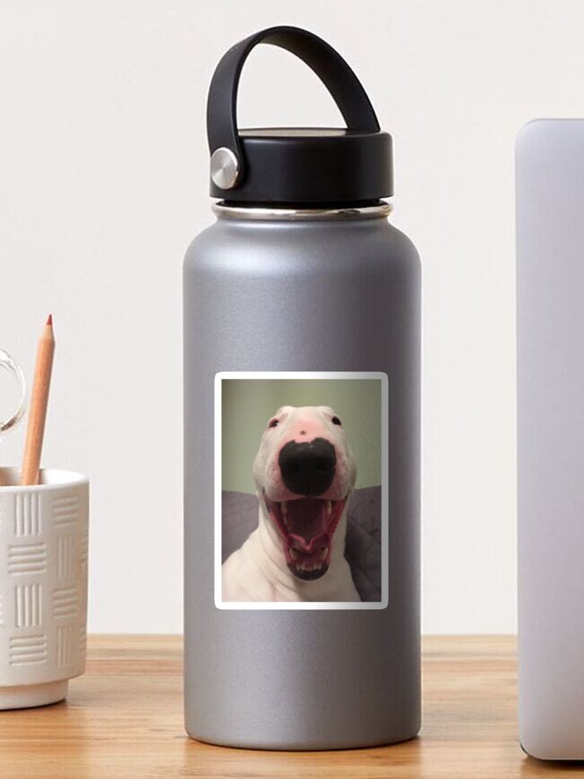 Pegatina for Sale con la obra «Meme del perro Walter - WALTER FELIZ ...