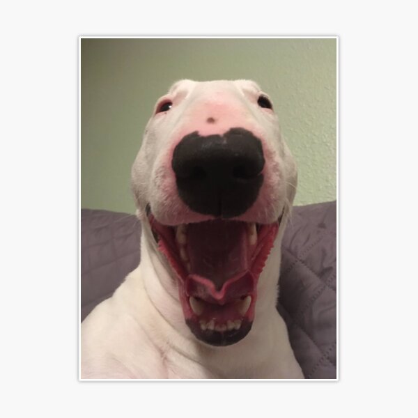 Sint Walter Meme SAINT WALTER OF PONTOISE THE FIRST ABBOT YouTube