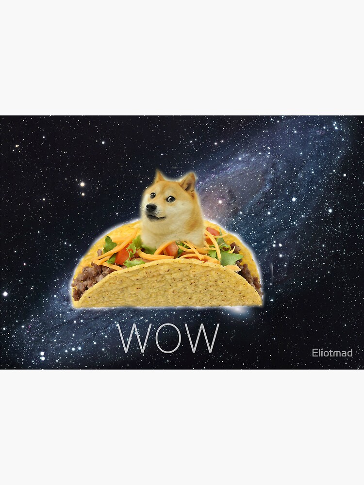 Taco Doge Follow Your Dreams