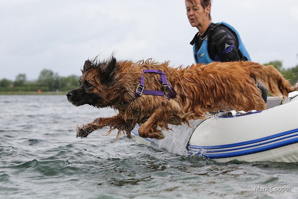 "Leo to the rescue " by Mark Cooper | Redbubble