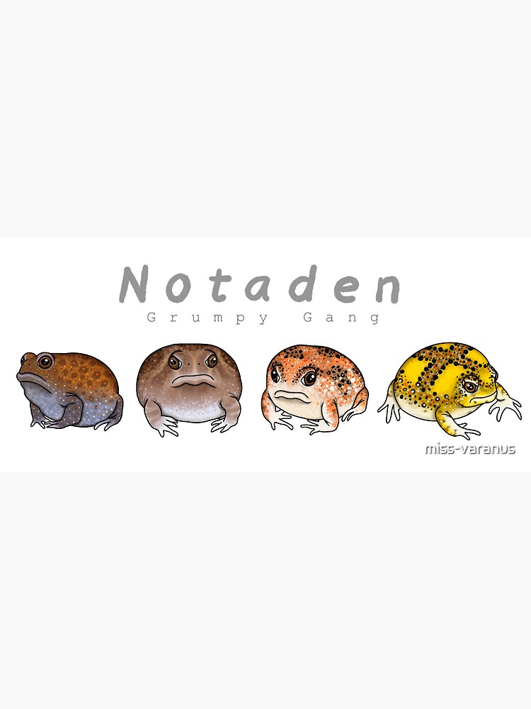 "Notaden - Grumpy Gang" Sticker for Sale by miss-varanus | Redbubble