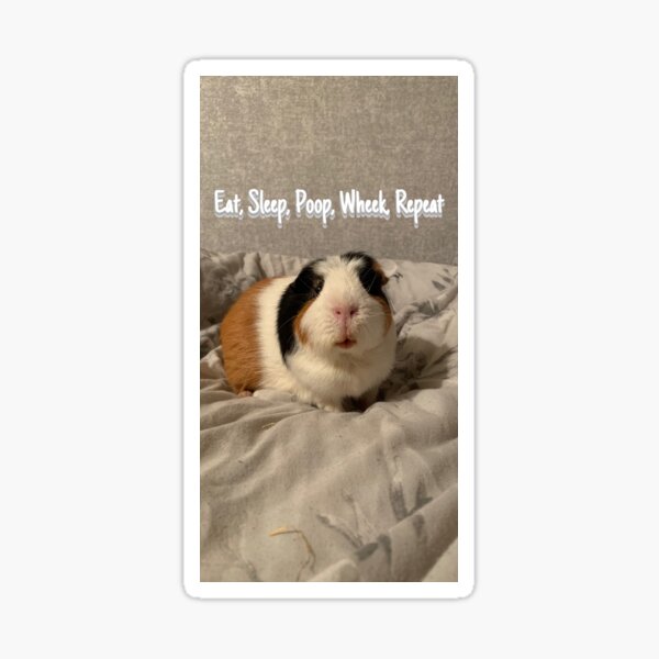 "Fudge Motto" Sticker for Sale by lucyspigs | Redbubble