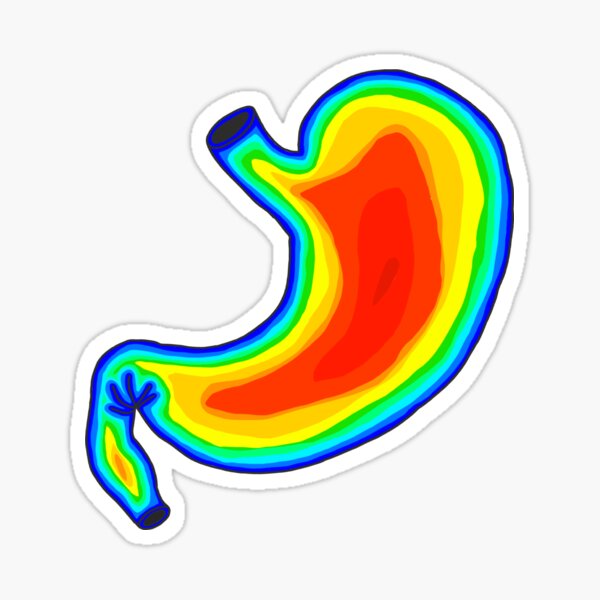 "Stomach Anatomy Thermal Design" Sticker by belaldesigns | Redbubble