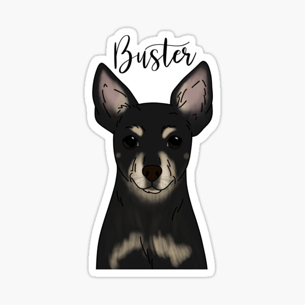 "Buster" Sticker for Sale by maggiearie | Redbubble