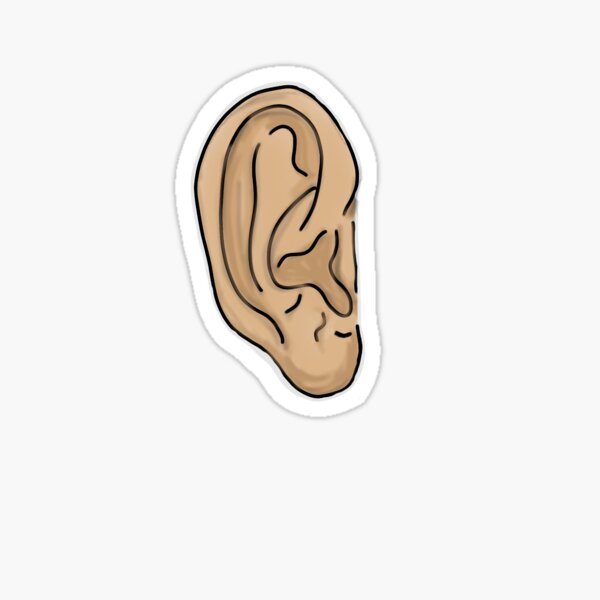 "Ear " Sticker by atilley | Redbubble