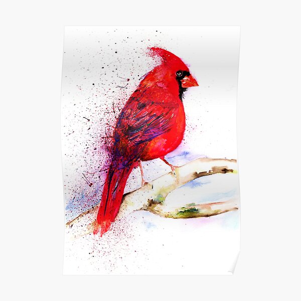 "Red Cardinal" Poster for Sale by IsabelSalvador | Redbubble