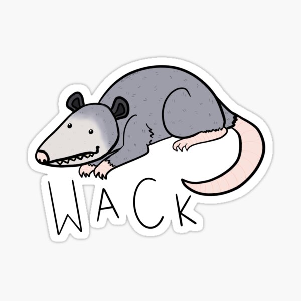 "wack opossum" Sticker for Sale by friskierocks | Redbubble