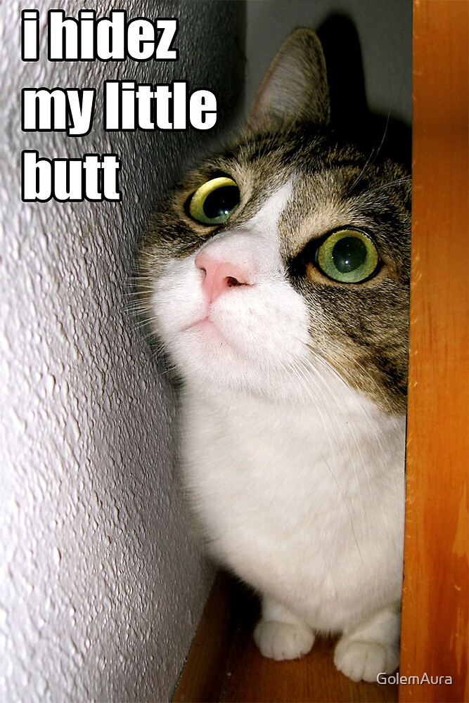 "lolz Butt Hiding Cat" by GolemAura | Redbubble