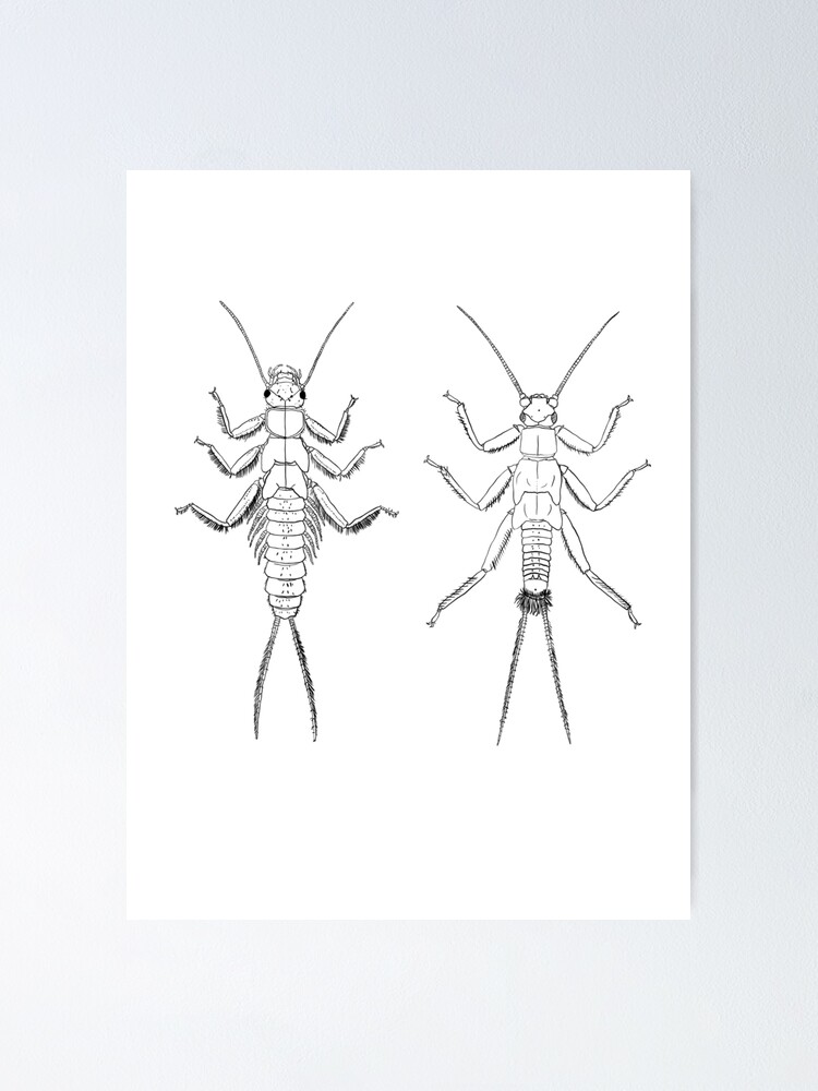 "Double Bugs" Poster for Sale by lolla-doesstuff | Redbubble