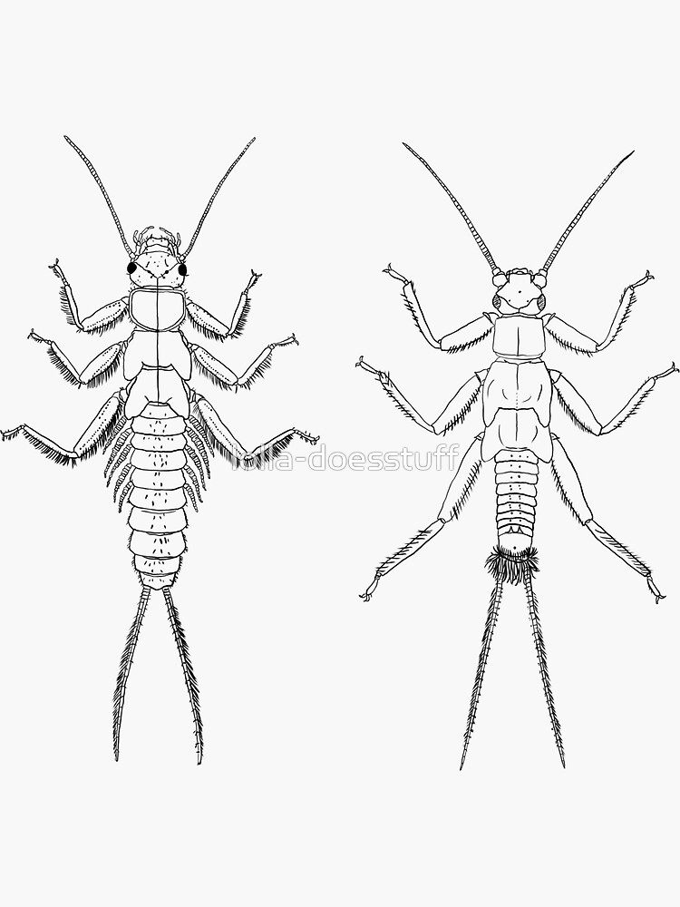 "Double Bugs" Sticker by lolla-doesstuff | Redbubble