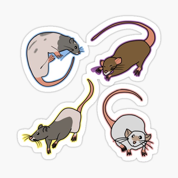 "Rats!" Sticker for Sale by littlefairylite | Redbubble