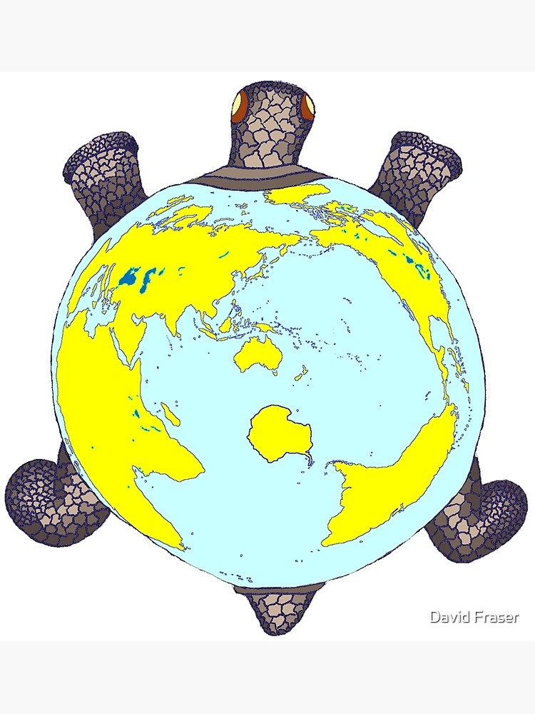 "Turtle Shell World Map" Photographic Print for Sale by davidfraser ...