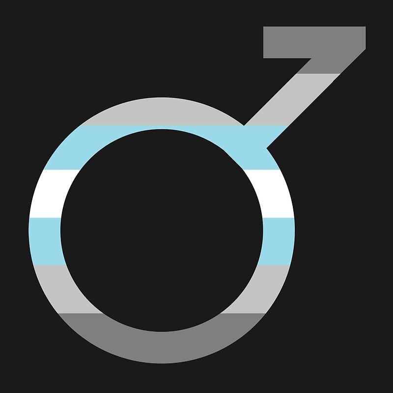 "Demiboy Symbol/Flag" by Reidtastic | Redbubble