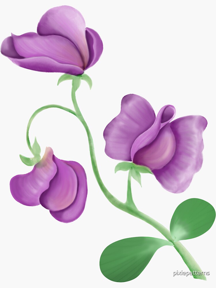 "Sweet pea " Sticker for Sale by pixiepatterns | Redbubble
