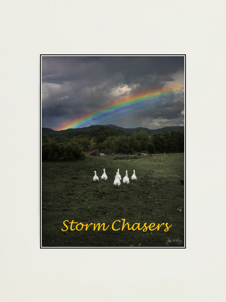 "Storm Chasers Poster" Photographic Print for Sale by waynedking ...