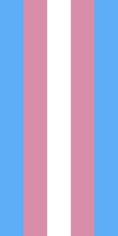 "Trans Pride Flag - Vertical - Darker" by lesemendemon | Redbubble