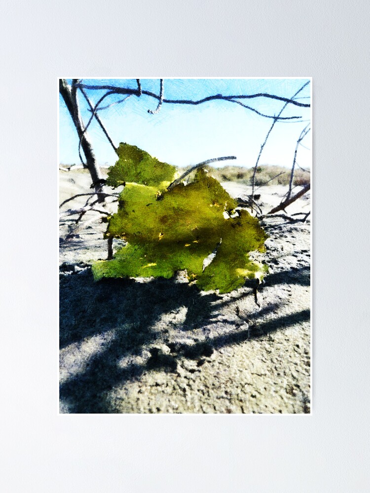 "Washed Ashore" Poster by PictureNZ | Redbubble