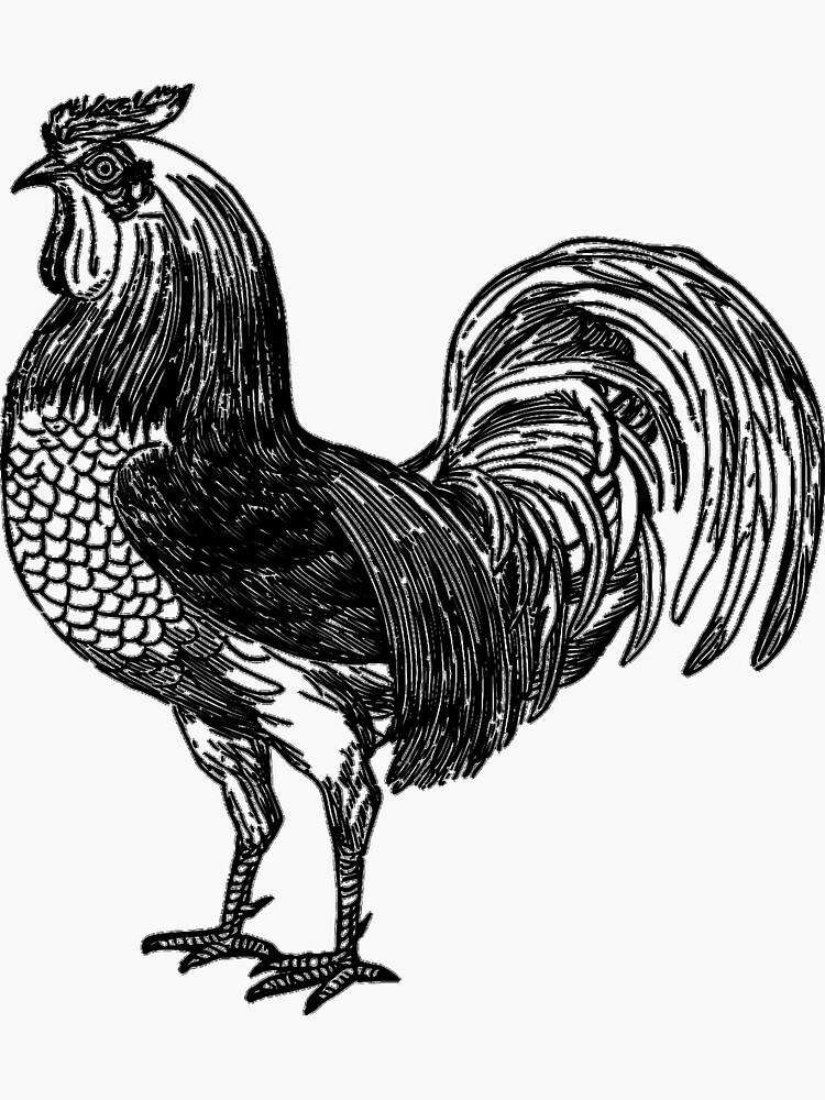 "Rooster Design- Rooster - I LOVE ROSTER- cute Rooster" Sticker for ...