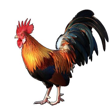 "Rooster - I LOVE ROSTER- cute Rooster - photo Rooster" Art Board Print ...