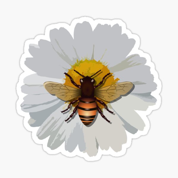 "Daisy Flower Bee" Sticker for Sale by cimibaka25 | Redbubble