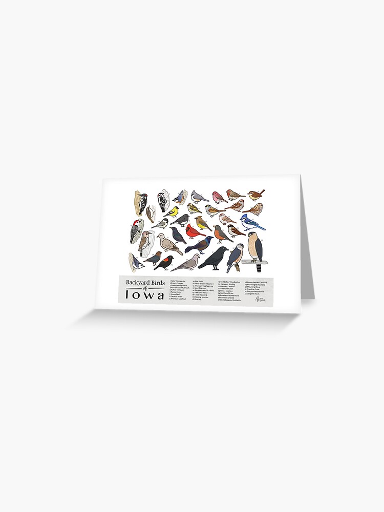 "Iowa - Backyard Birds of Iowa Field Guide Print - Bird Art Print ...