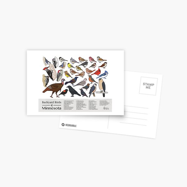 "Minnesota - Backyard Birds of Minnesota Field Guide Print - Bird Art ...