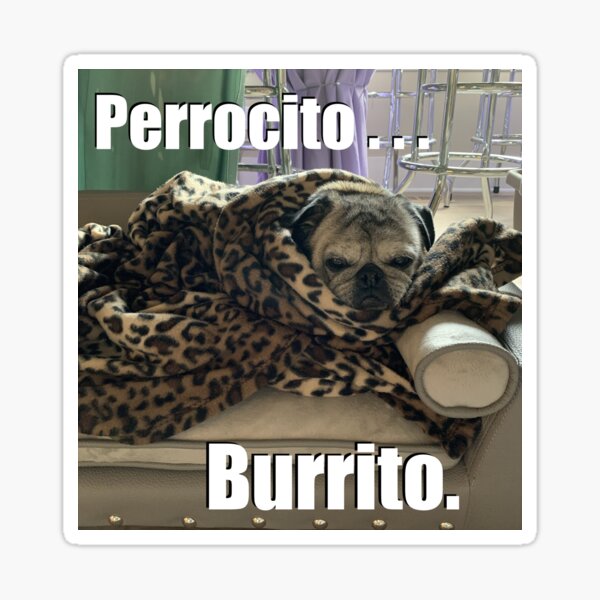 "Pug Burrito!" Sticker for Sale by amigaboy | Redbubble