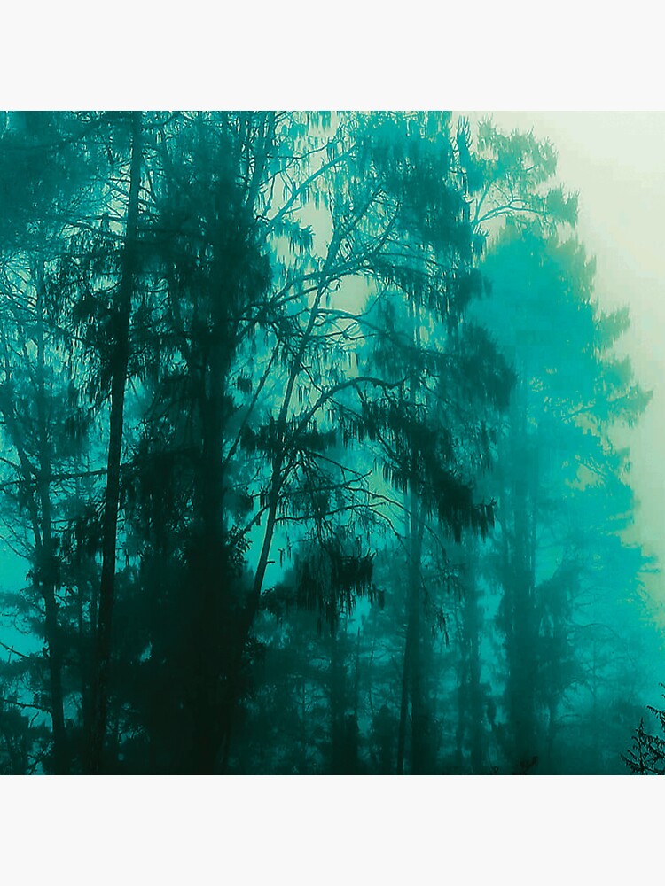 "forest fog" Sticker by Abharan | Redbubble