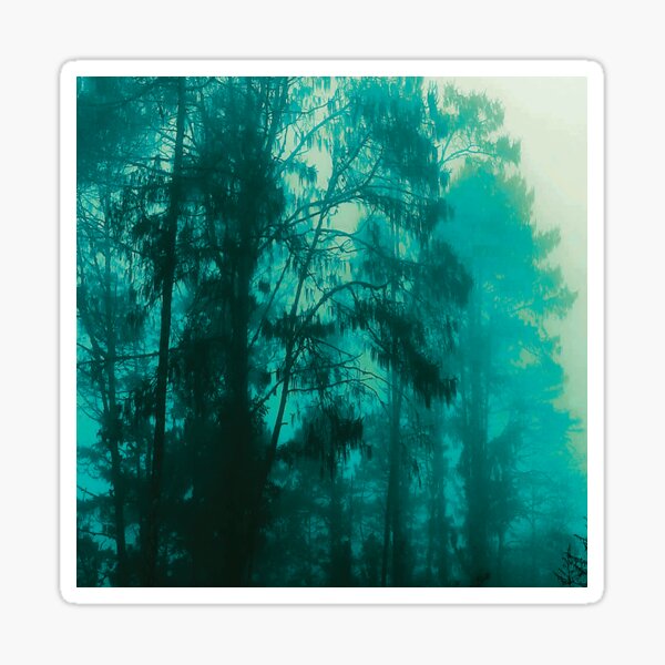 "forest fog" Sticker by Abharan | Redbubble