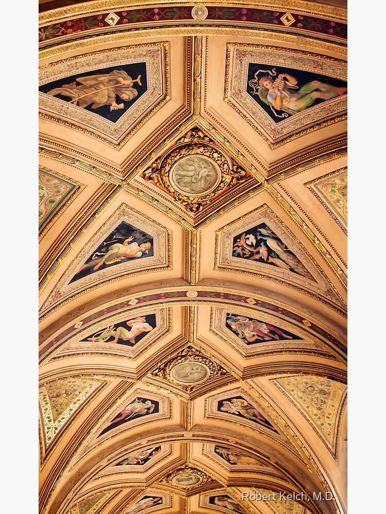 "Portico Ceiling - Vienna Opera House" Art Print by RobertKelch | Redbubble