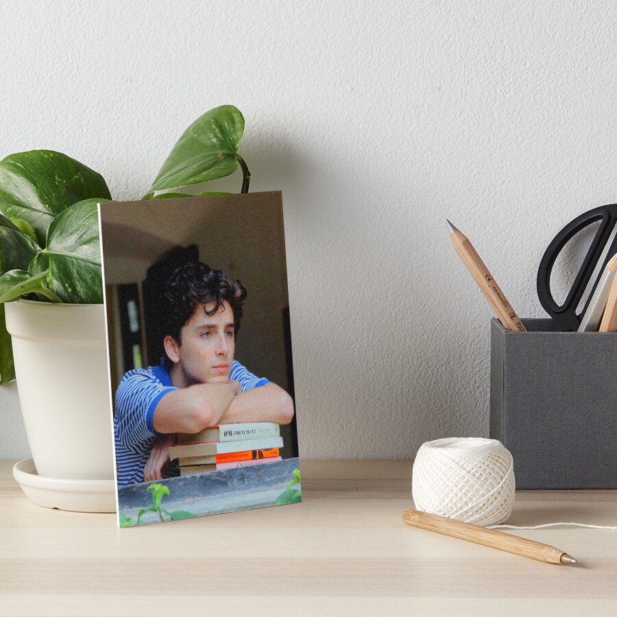 "Timothée Chalamet Elio Perlman cmbyn poster" Art Board Print for Sale ...