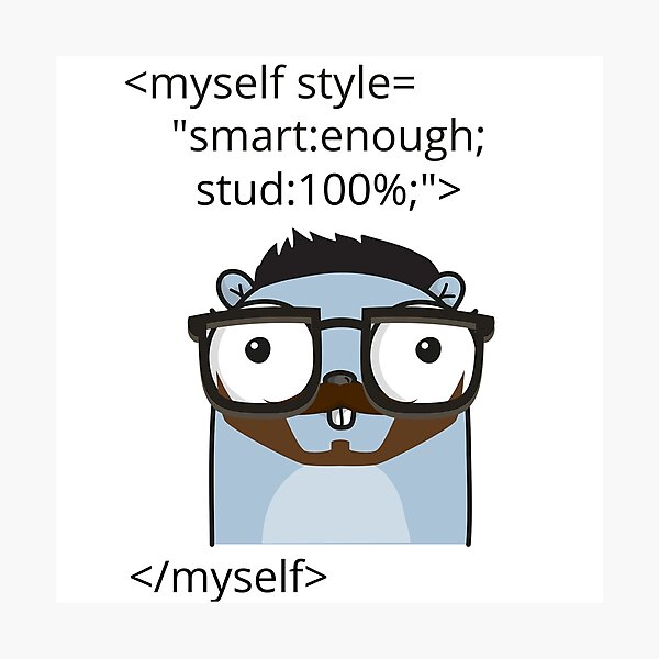 "Stud and Smart Golang gopher programmer" Photographic Print by ...