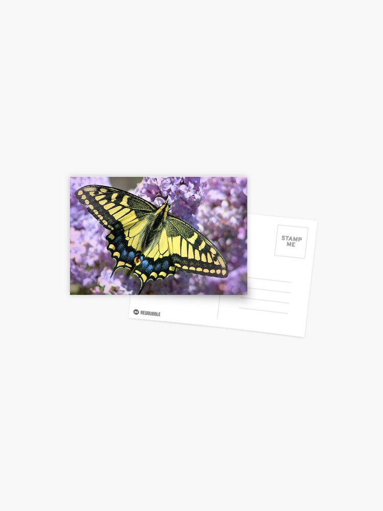 "Glorious" Postcard for Sale by Arla Ruggles | Redbubble