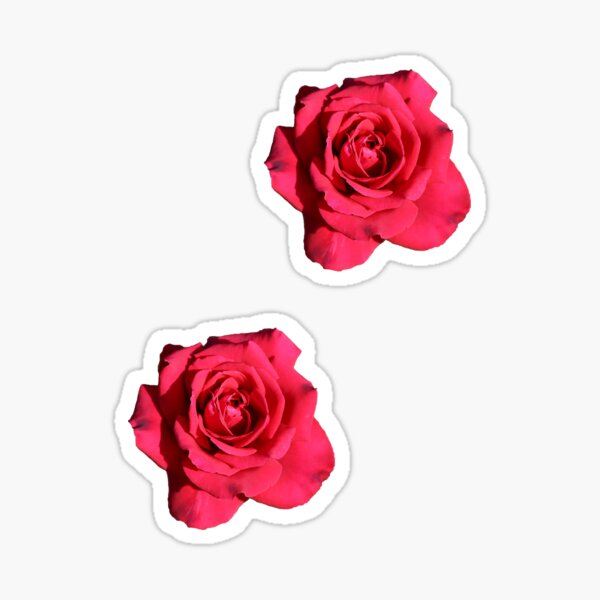 "Red Rose" Sticker by STHogan2 | Redbubble