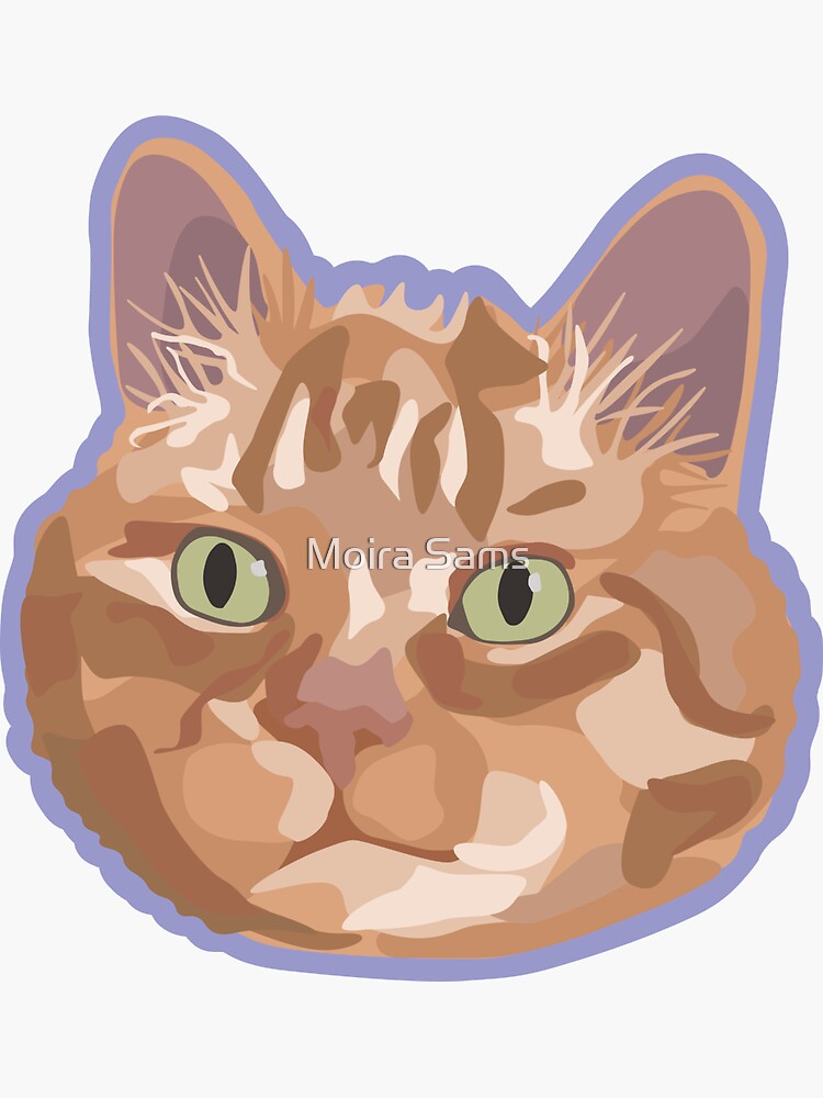 "Orange Cat Named Cheeto" Sticker for Sale by mergishka | Redbubble